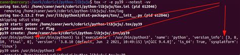 Tox Py Test Using Wrong Version Of Python Issue Juju Python Libjuju GitHub