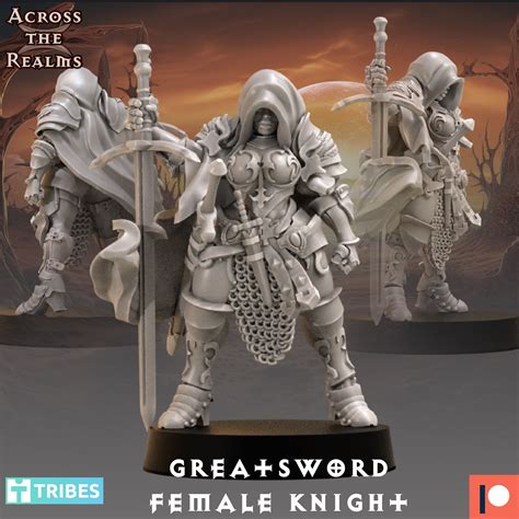 Knights Female Greatsword Wargame Exclusive Fantasy