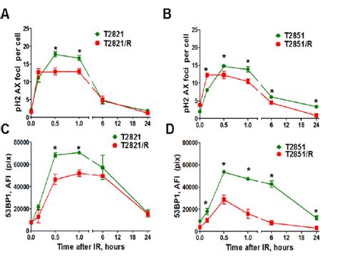 Analysis Of γh2ax And 53bp1 Foci Tumor Cells Were Irradiated 5 Gy