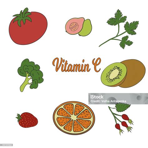 비타민 C 소스의 컬렉션 아스코르브산이 풍부한 과일과 채소 식이 식품 유기농 영양 조성물 흰색 배경에 격리 된 플랫 벡터 만화 그림 0명에 대한 스톡 벡터 아트 및 기타