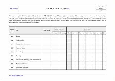 Software Audit Template