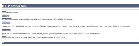 error status 500 al descargar un documento