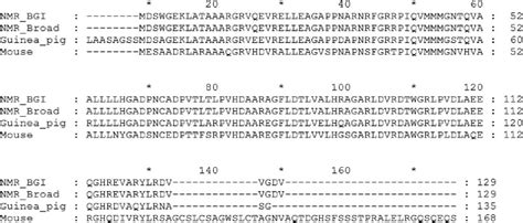 The Naked Mole Rat Genome Resource Facilitating Analyses Of Cancer And Longevity Related