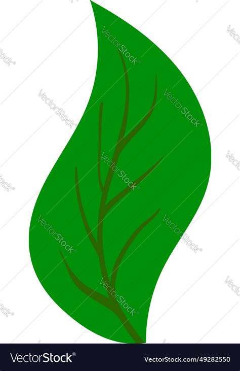 Tree Leaf Royalty Free Vector Image VectorStock