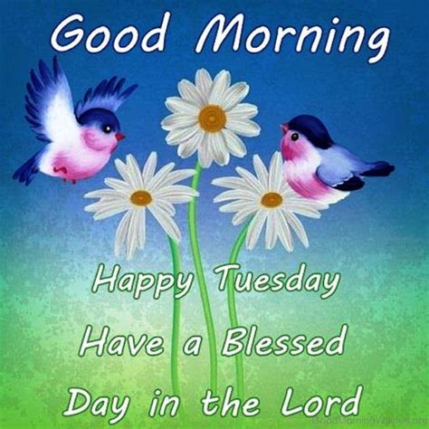 Good Morning Have A Blessed Day