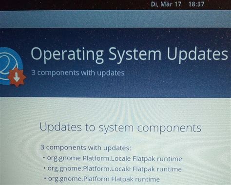 Updates Updated Orggnomeplatform Flatpak Runtime Still Not Updating Elementary Os Stack