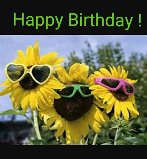 Beautiful Flower Birthday Memes At Mark Stringer Blog