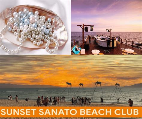 Sunset Compass Tourist