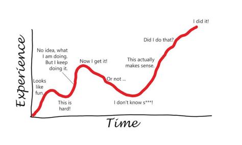 The Bumpy Learning Curve Sascha D Kasper