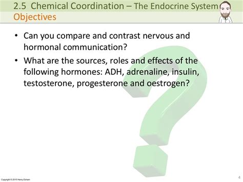 Igcse Endocrine System