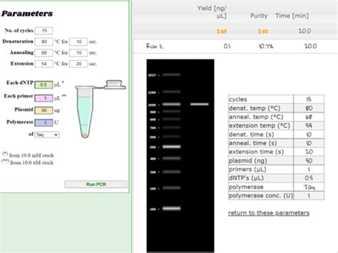 Solved 1. State your interpretation of how the PCR | Chegg.com