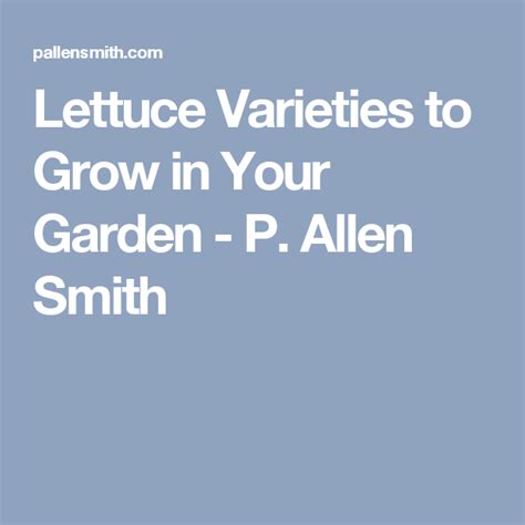 Lettuce Varieties To Grow In Your Garden