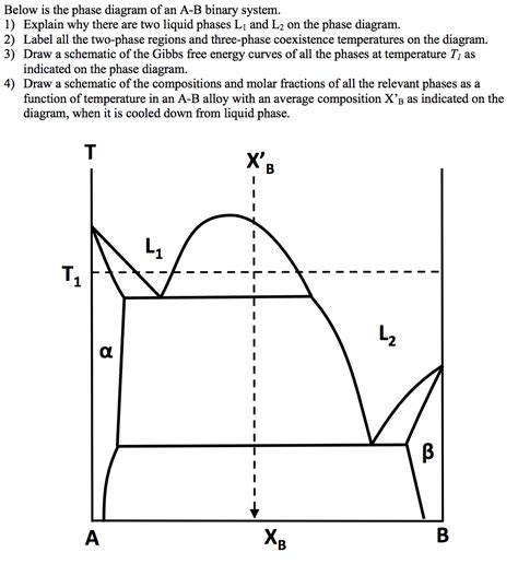 Solved Below Is The Phase Diagram Of An A B Binary System Chegg