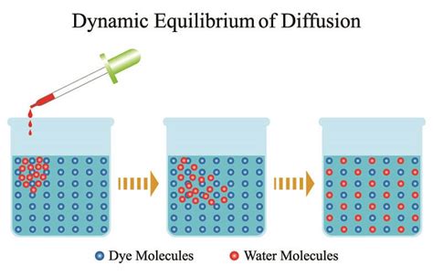 Osmolality Of Water At Ronald Graham Blog