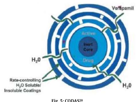 Figure 1 From Controlled Release Approach To Novel Multiparticulate Drug Delivery System