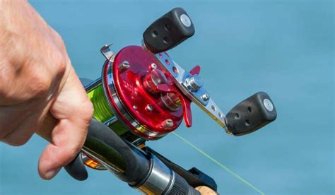 Types Of Fishing Reels The Complete Guide