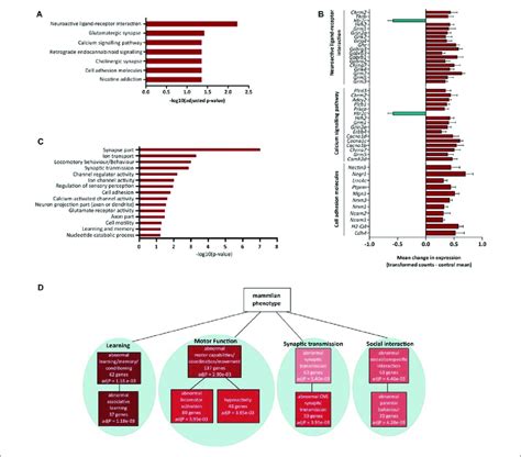 Functional Annotation Of Significantly Altered Genes After Fezf2 Download Scientific Diagram