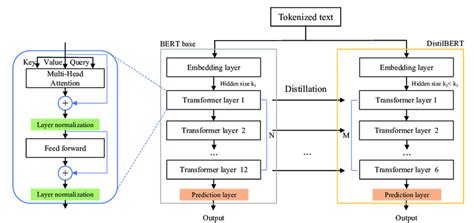 The Distilbert Model Architecture And Components Download Scientific Diagram