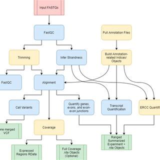 SPEAQeasy Workflow Diagram A Simplified Workflow Diagram For Each Download Scientific Diagram