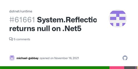 Systemreflectiongetcustomattributetype Returns Null On Net5