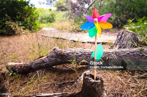 숲의 길에 아이들의 장난감 바람개비 복사 공간 좋은 방향의 개념 꿈꾸기에 대한 스톡 사진 및 기타 이미지 꿈꾸기 낮 디자인 Istock