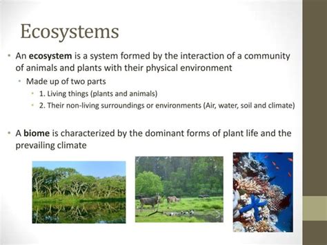 1 Ecosystems Introduction Ppt