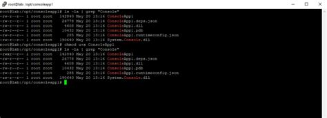 Run A NET Core C Console App On Ubuntu Matrixpost Net