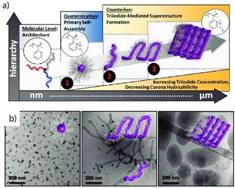 Counterion Mediated Structuring Of μ Bvqt I − Miktoarm Star Download Scientific Diagram