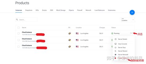 萌新建站教程（三）vultr服务器的购买与使用（补） 知乎