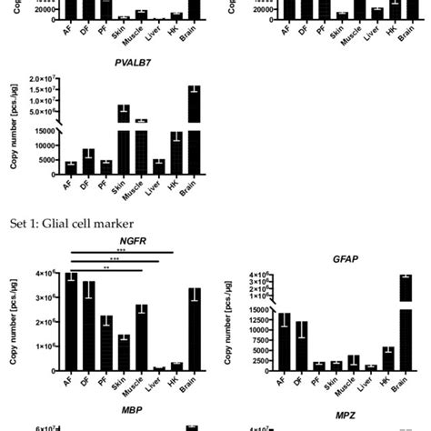 Expression Levels Of Selected Neuron And Glial Cell Marker Genes From