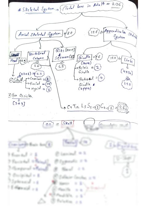 SOLUTION Skeletal System Handwritten Notes Studypool