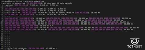guide on how to ping and traceroute to check network connections
