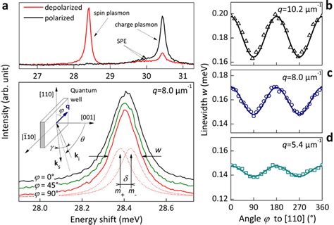 Anisotropic Splitting Of Intersubband Spin Plasmons In A Gaas Quantum Download Scientific