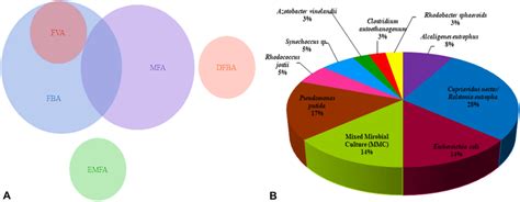 A Frequency Of Metabolic Modeling Algorithms Employed To Solve The Download Scientific Diagram
