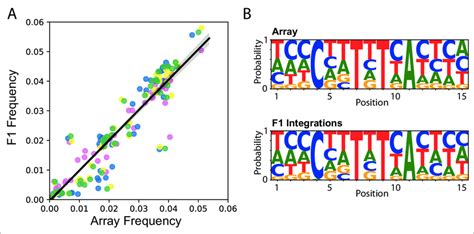 Integration Frequency From Transgenic Arrays Resulting In Diversity Of Download Scientific