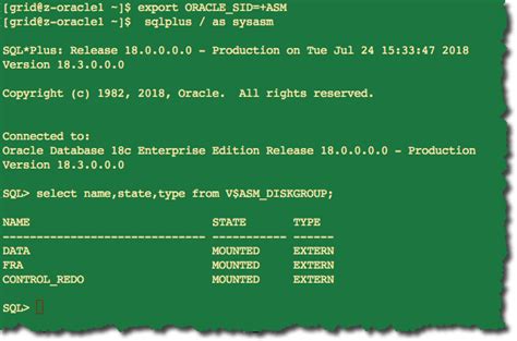 Oracle 18c Grid Infrastructure Installation Ron Ekins Oracle