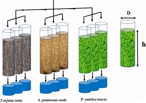 Triplicate Column Test Setup For Determination Of Effectiveness Of