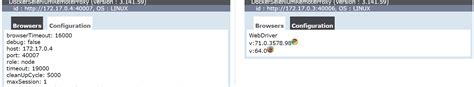 Docker Multiple Browser In Same Zalenium Container Stack Overflow