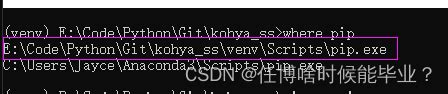 Python直接复制已有的venv虚拟环境以创建新的虚拟环境 CSDN社区