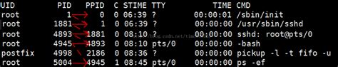 linux 中ps 和 top命令详解 ps ef 和 top csdn博客