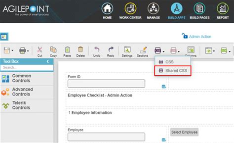 Example Use Custom CSS In An EForm