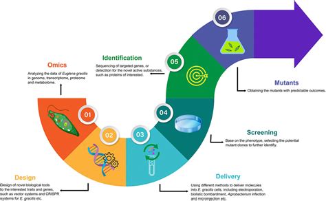 Frontiers A Synthetic Biology Perspective On The Bioengineering Tools