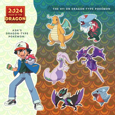 The 411 On Dragon Type Pokémon