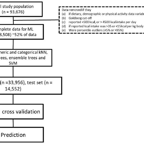 Flow Chart Presenting The Data Cleaning And Preparation Process