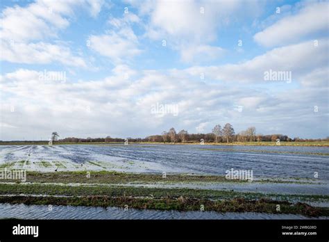 Dauerregen - Hochwasserschäden, überflutete Wintergetreideflächen im ...