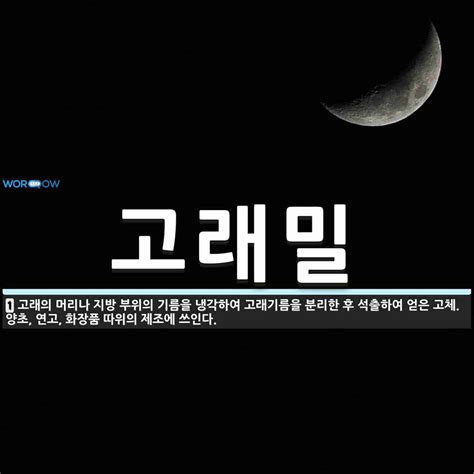 고래밀 뜻 고래의 머리나 지방 부위의 기름을 냉각하여 고래기름을 분리한 후 석출하여 얻은 고체 양초
