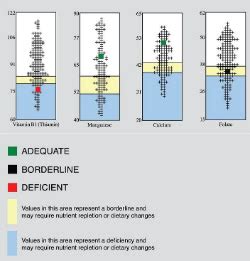 Why Is Nutrient Assessment Important Journey Of Health