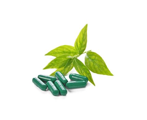 Premium Photo Andrographis Paniculata Isolated On A White Background