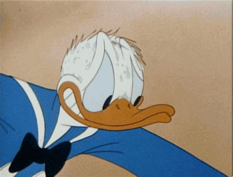 Funny Heat S 100 Animated  Pics Of Hot Weather