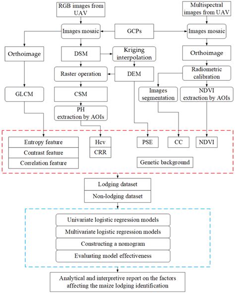 Schematic Diagram Of Data Processing And Analysis Procedure For Maize Download Scientific